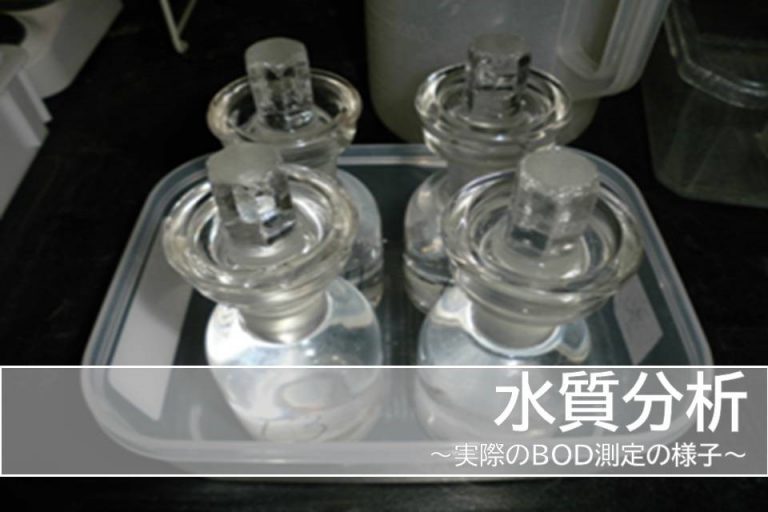 【水質分析】実際のBOD測定の様子 - 尾北環境分析株式会社